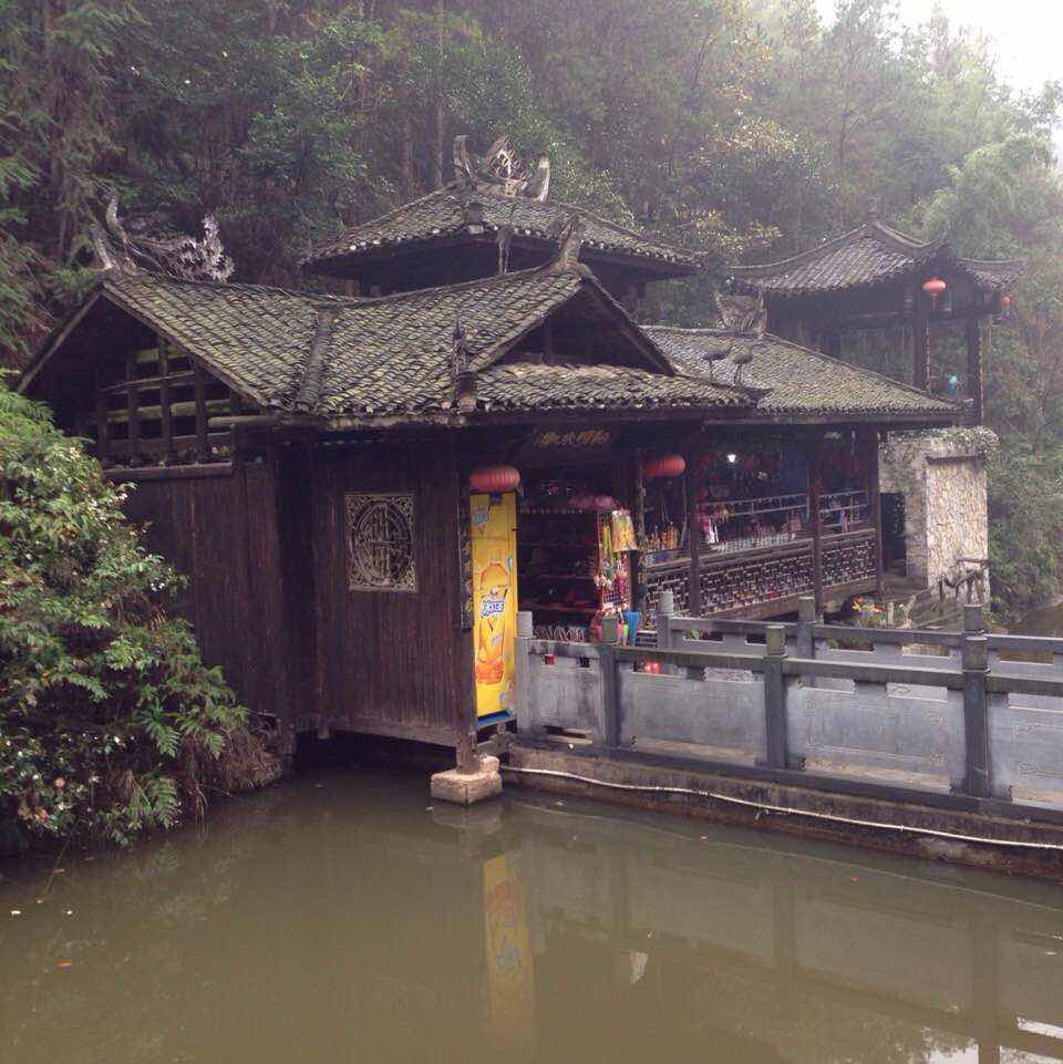 特厨探店-广州全好评餐厅？这顿早茶吃爽了！- - 今日头条